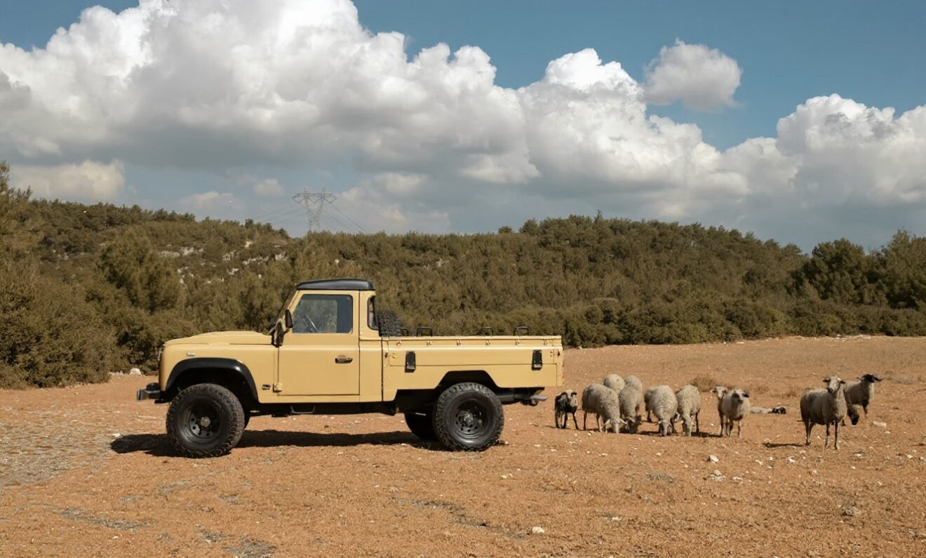 Land Rover Import Guide 2025: Tariffs and Taxes Explained - The Phoenix ...